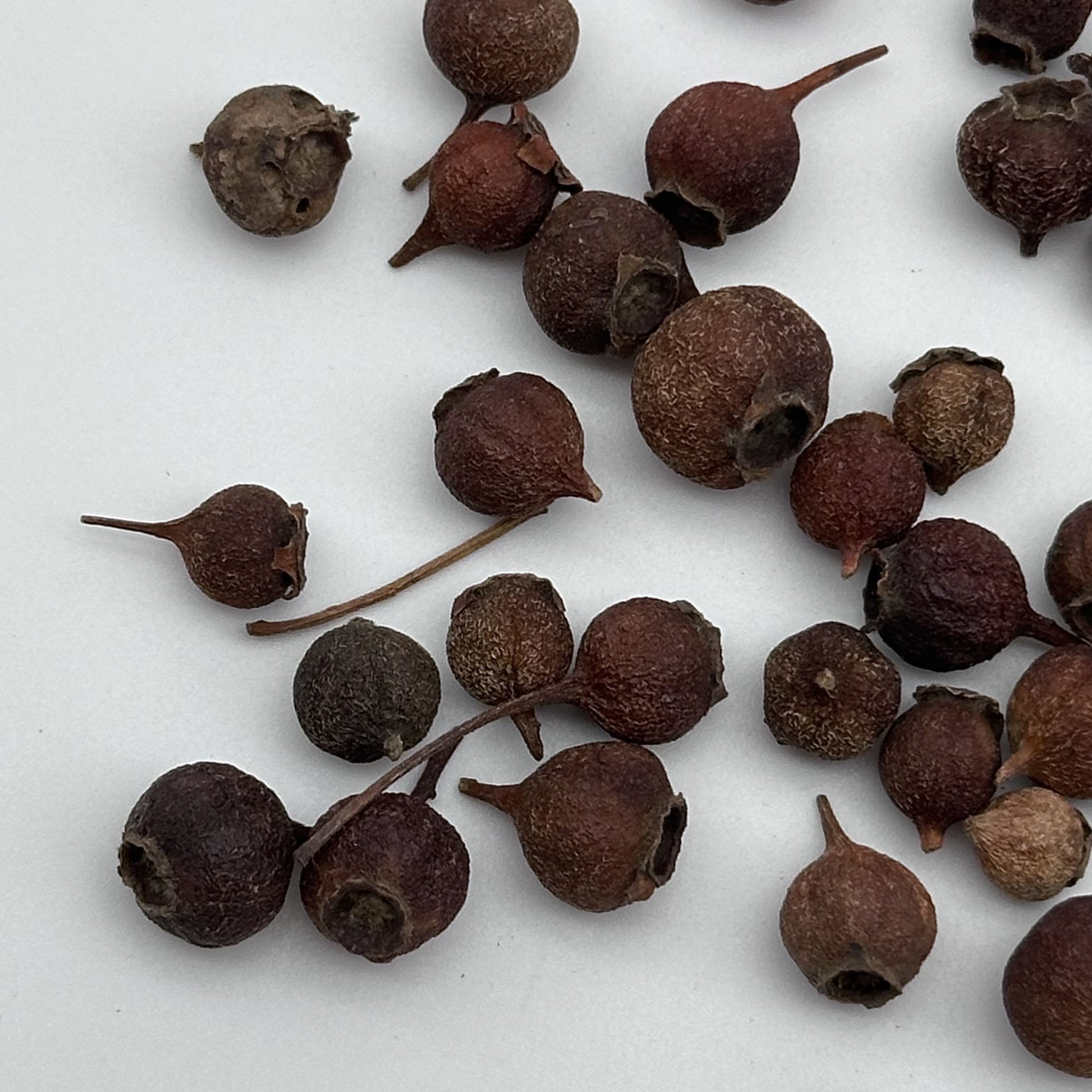 Allspice Whole Herbal Tea – AIHERBS